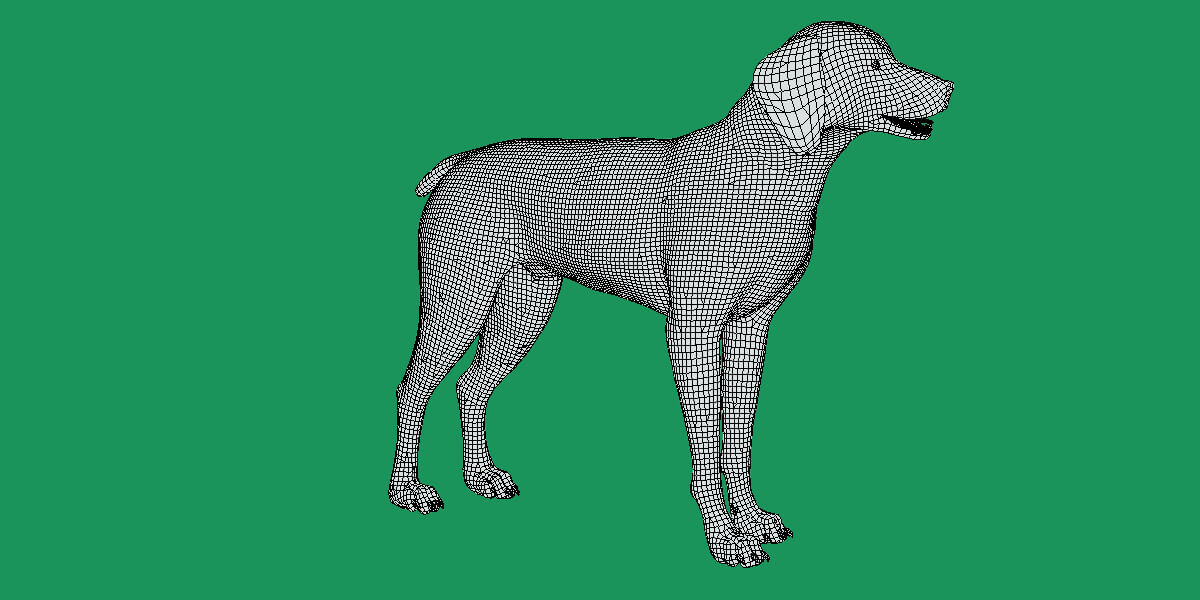 German Shorthaired Pointers Dog - 3D Model by Nyilonelycompany
