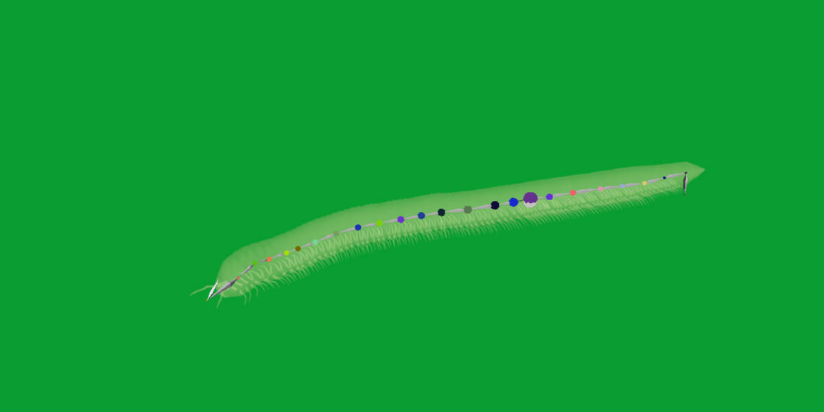 Giant African Millipede - 3D Model by Nyilonelycompany