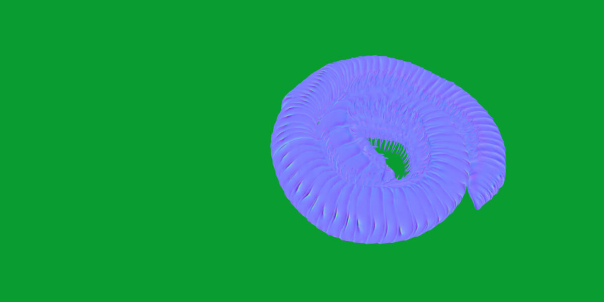 Giant African Millipede - 3D Model by Nyilonelycompany