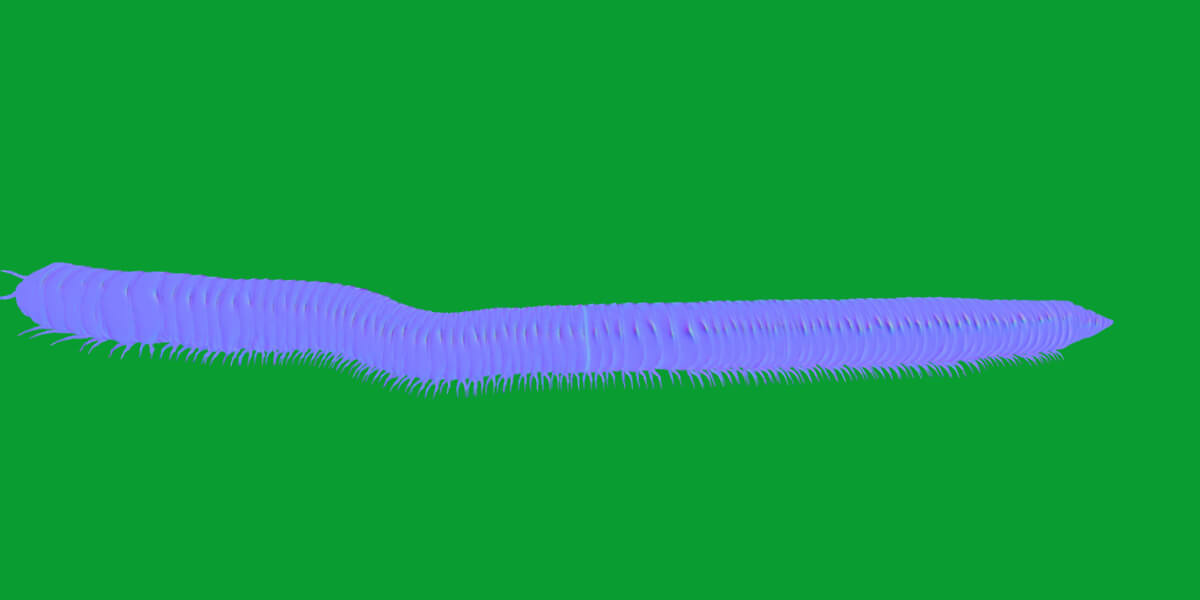Giant African Millipede - 3D Model by Nyilonelycompany