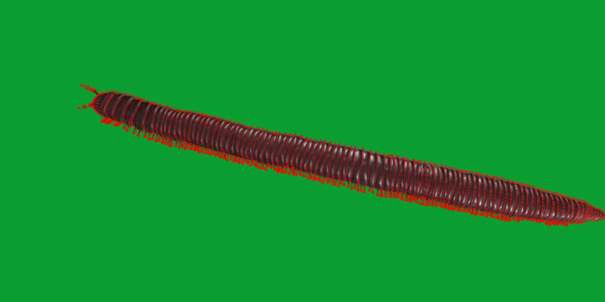 Giant African Millipede - 3D Model by Nyilonelycompany