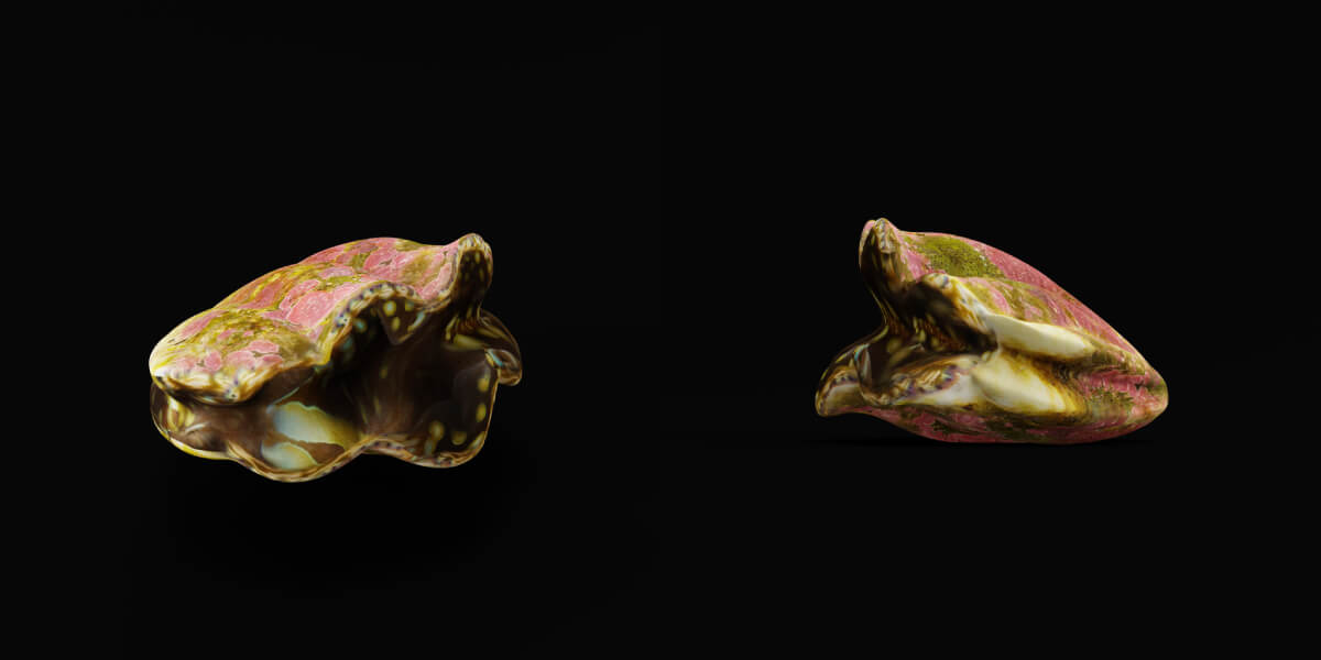 Giant Clam Mollusk - 3D Model by Nyilonelycompany
