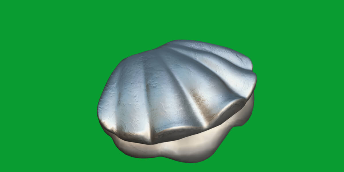 Giant Clam Mollusk - 3D Model by Nyilonelycompany