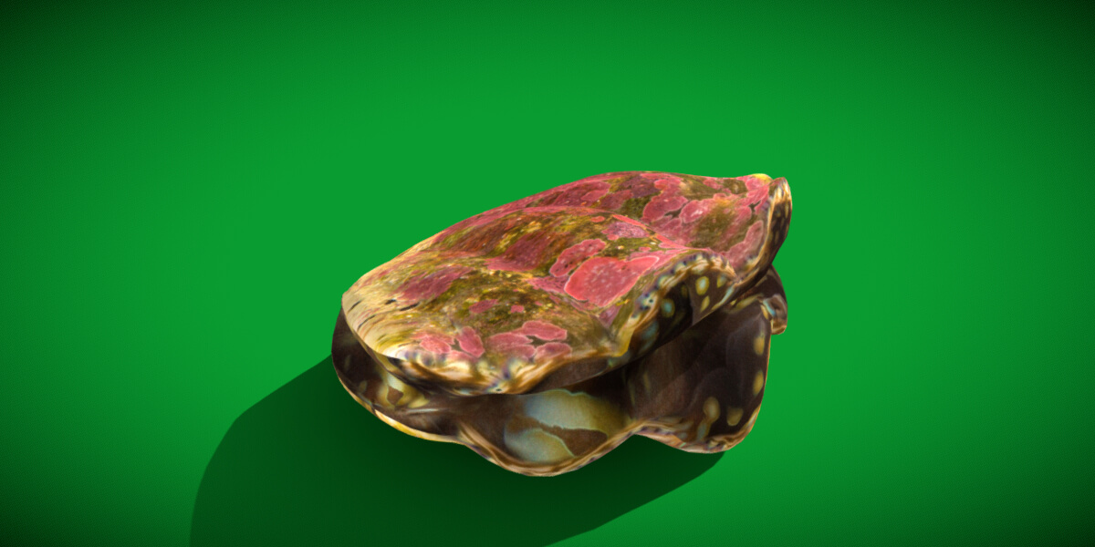 Giant Clam Mollusk - 3D Model by Nyilonelycompany