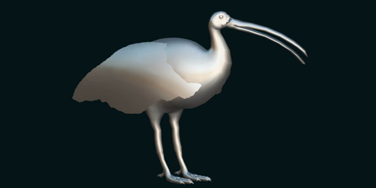 Giant Ibis Bird - 3D Model by Nyilonelycompany