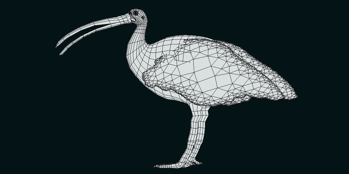 Giant Ibis Bird - 3D Model by Nyilonelycompany
