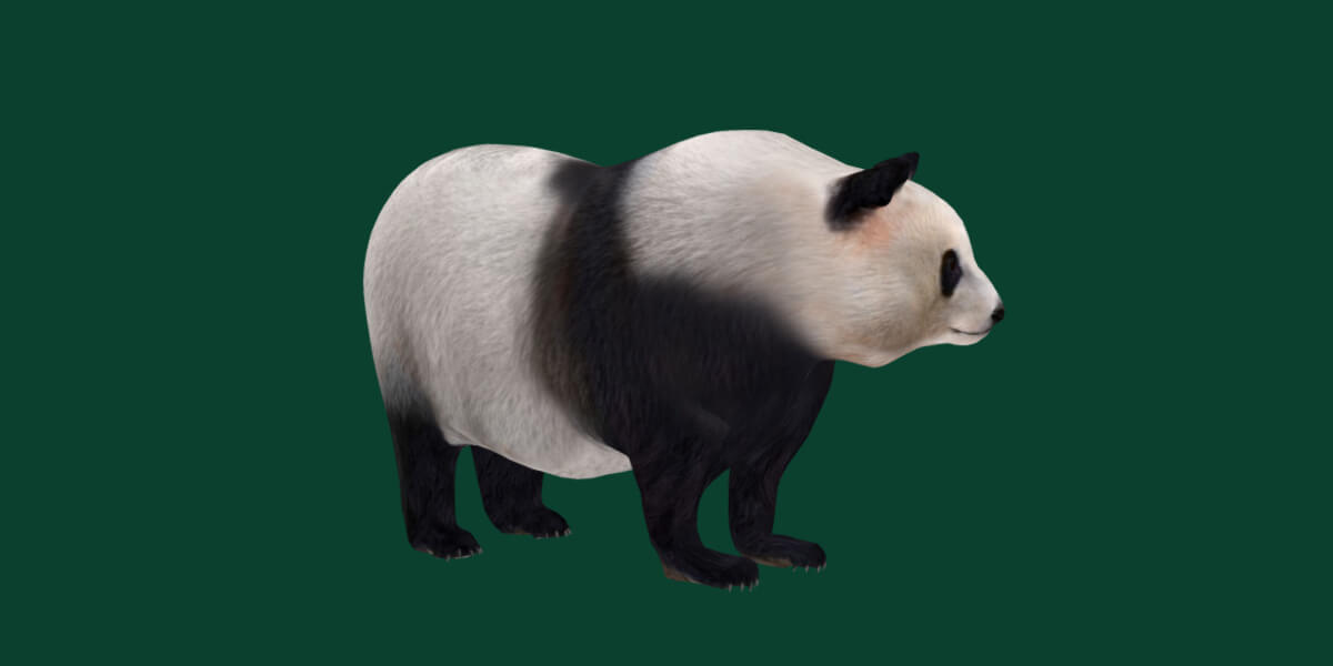 Giant Panda Bear - 3D Model by Nyilonelycompany