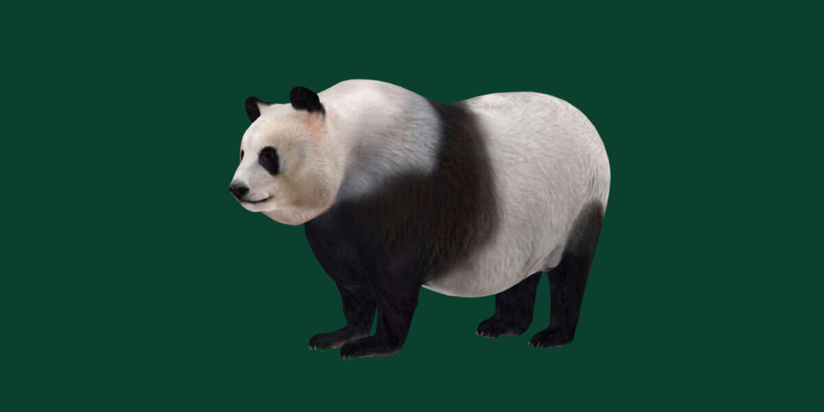 Giant Panda Bear - 3D Model by Nyilonelycompany