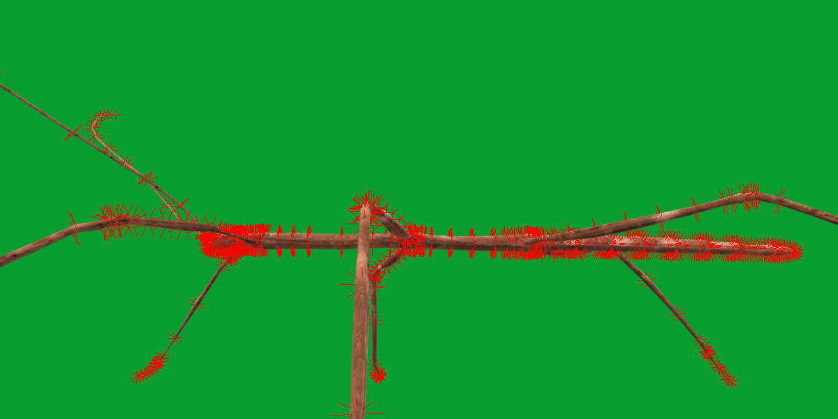 Giant Stick Insect - 3D Model by Nyilonelycompany