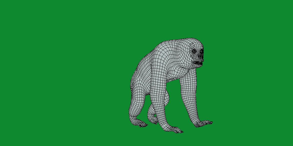 Gibbons Apes - 3D Model by Nyilonelycompany