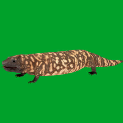 Gila Monster Lizard - 3D Model by Nyilonelycompany