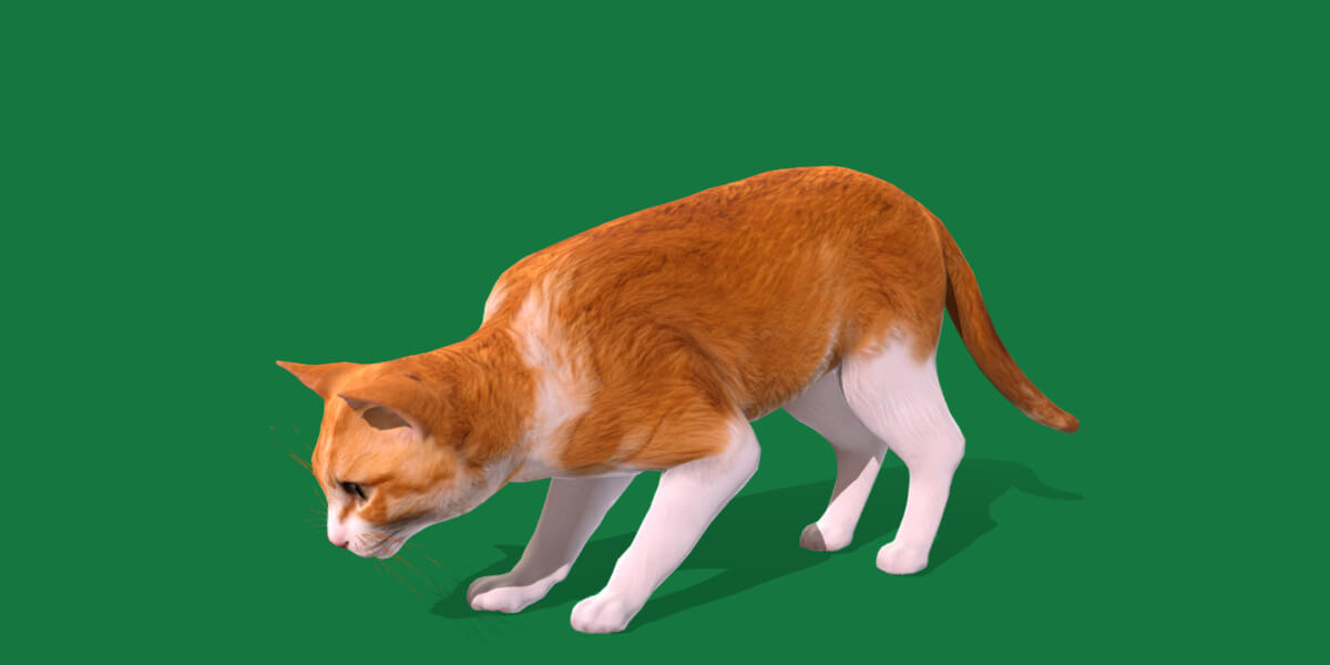 Ginger Tabby Cat - 3D Model by Nyilonelycompany