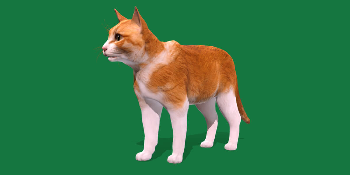 Ginger Tabby Cat - 3D Model by Nyilonelycompany