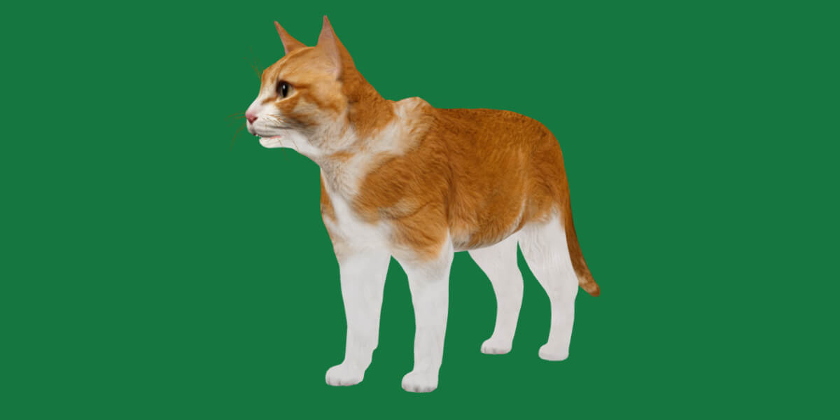 Ginger Tabby Cat - 3D Model by Nyilonelycompany