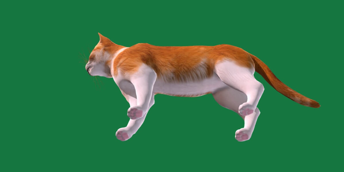 Ginger Tabby Cat - 3D Model by Nyilonelycompany