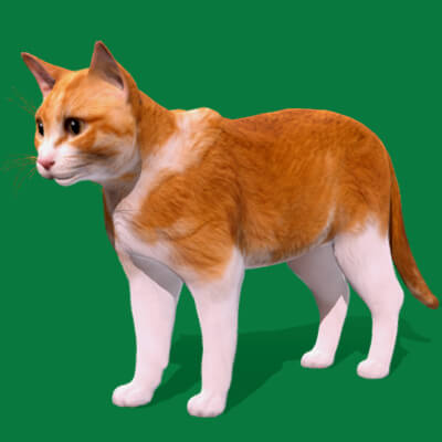 Ginger Tabby Cat - 3D Model by Nyilonelycompany