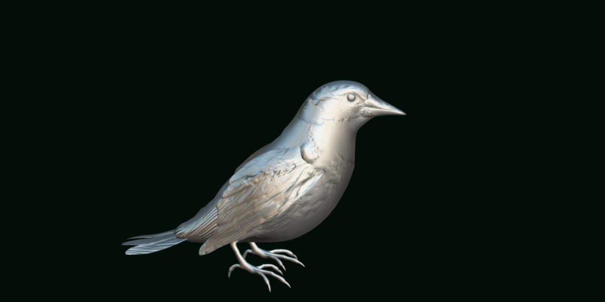 Golden Cheeked Warbler Songbird - 3D Model by Nyilonelycompany