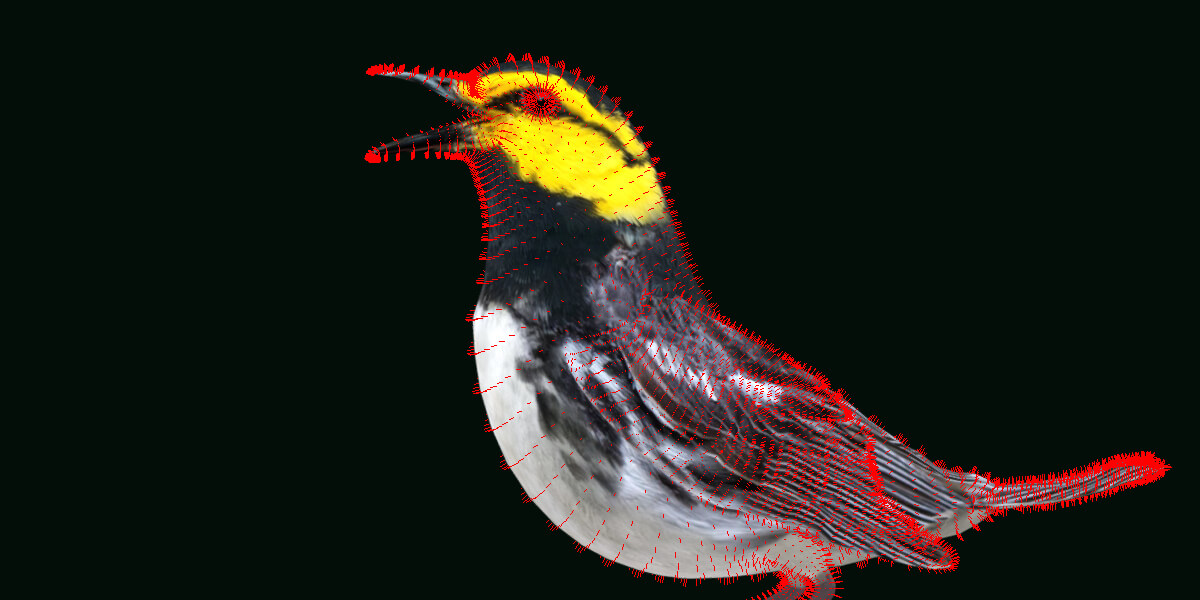 Golden Cheeked Warbler Songbird - 3D Model by Nyilonelycompany