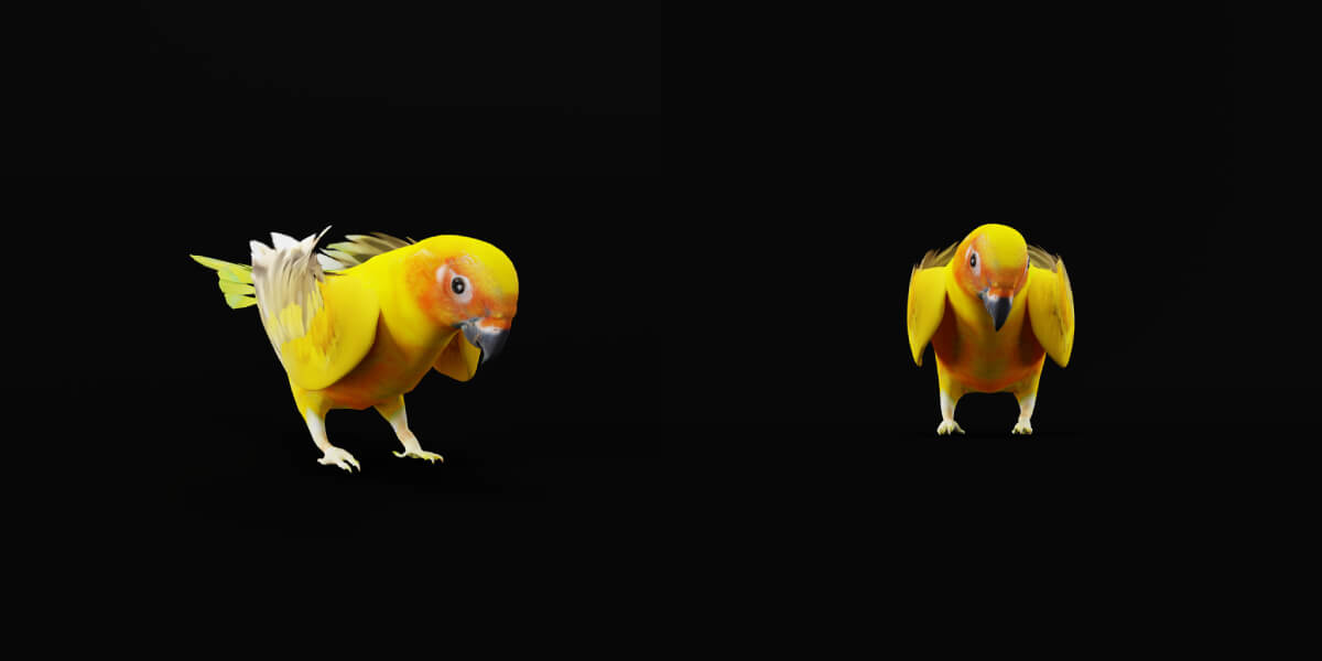 Golden Conure Parrot - 3D Model by Nyilonelycompany
