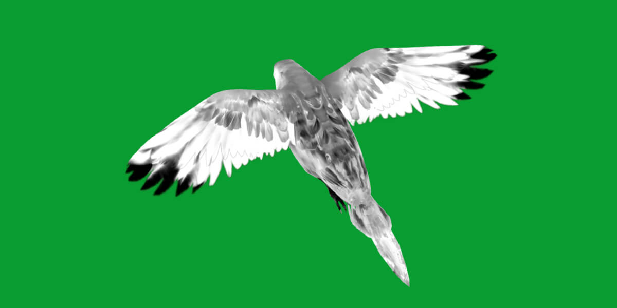 Golden Conure Parrot - 3D Model by Nyilonelycompany