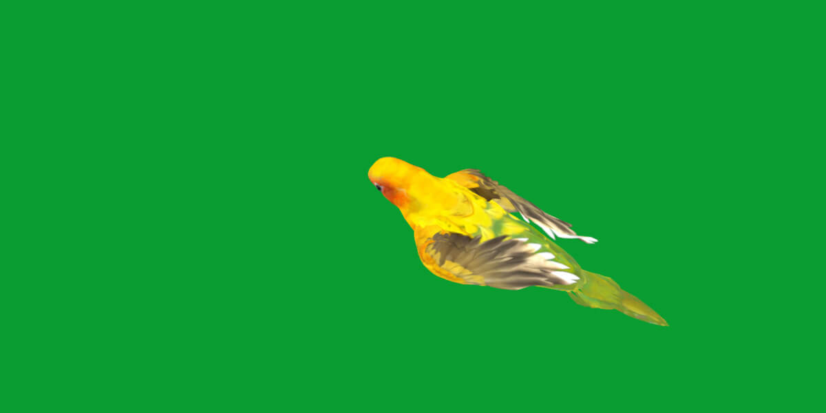 Golden Conure Parrot - 3D Model by Nyilonelycompany