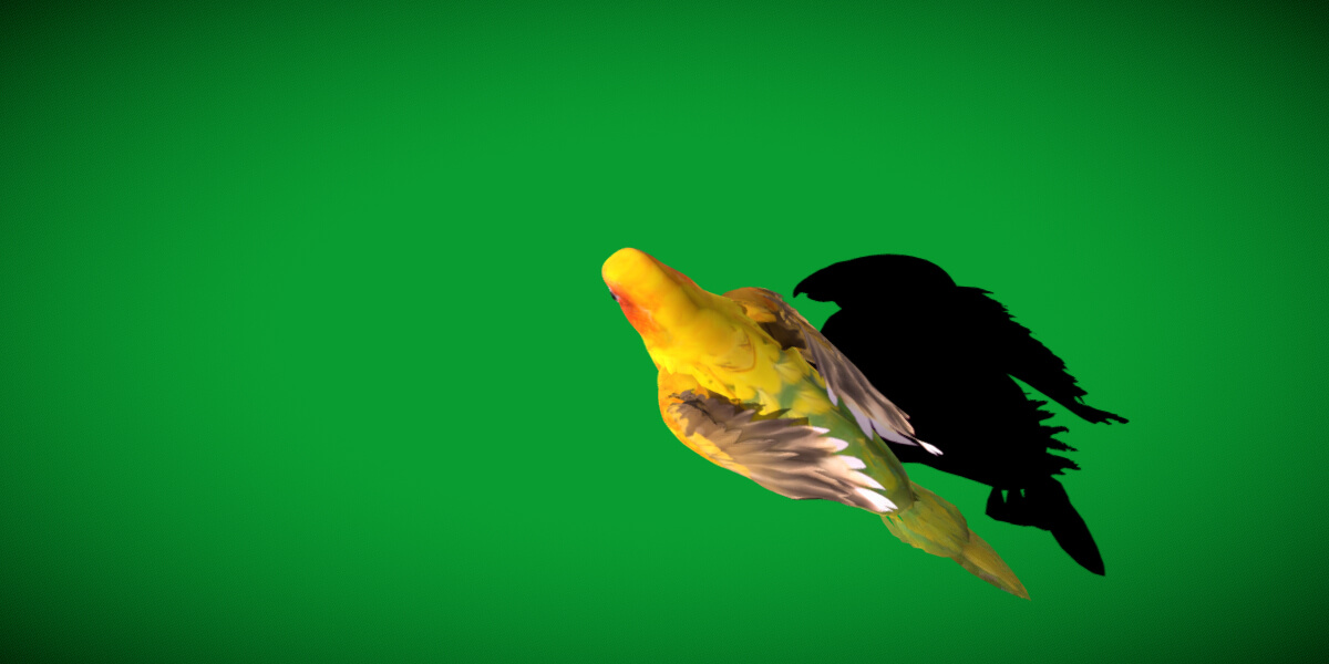 Golden Conure Parrot - 3D Model by Nyilonelycompany