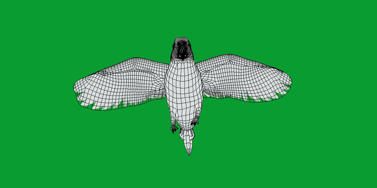 Golden Conure Parrot - 3D Model by Nyilonelycompany