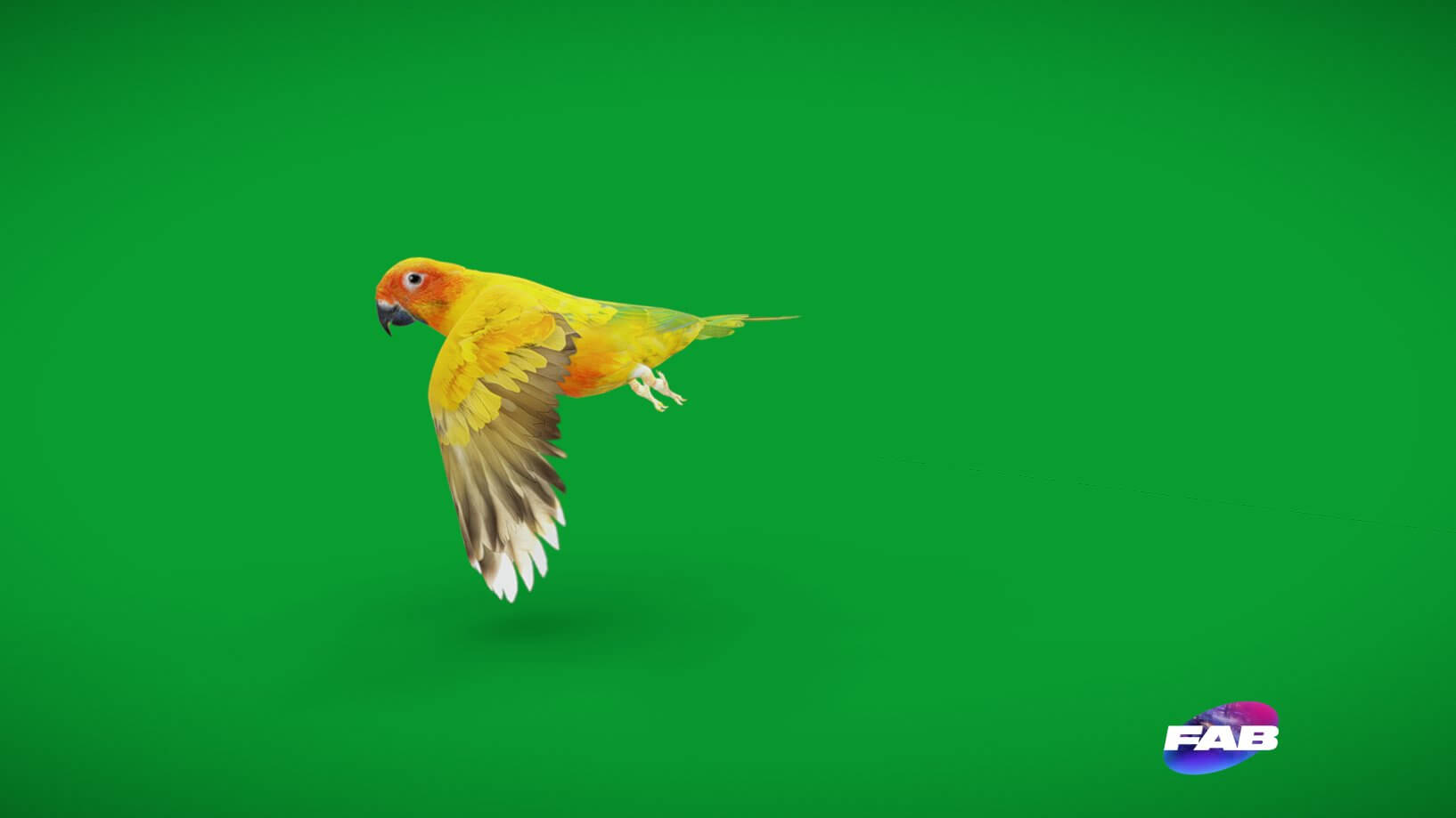 Golden Conure Parrot - 3D Model by Nyilonelycompany