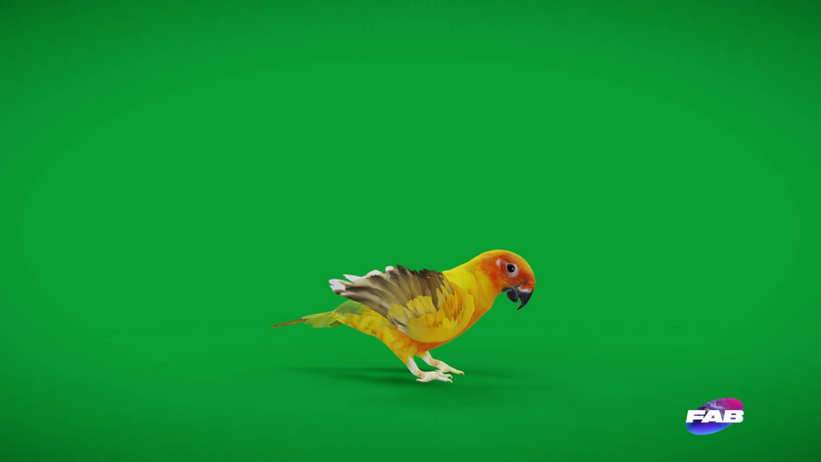 Golden Conure Parrot - 3D Model by Nyilonelycompany