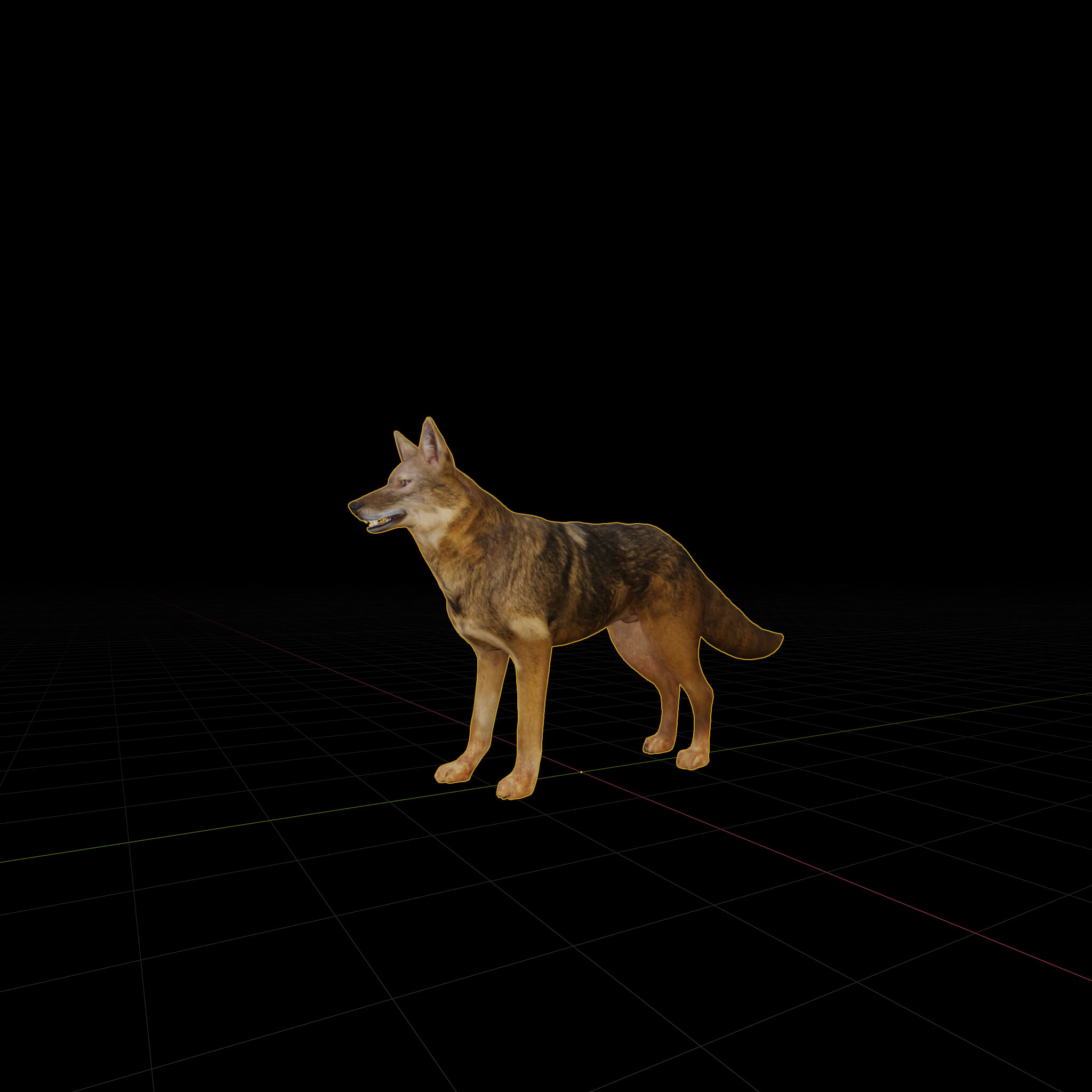 Golden Jackal Animal - 3D Model by Nyilonelycompany