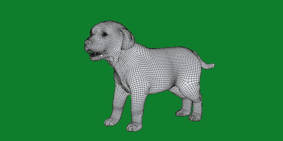 Golden Retriever Puppy Dog - 3D Model by Nyilonelycompany