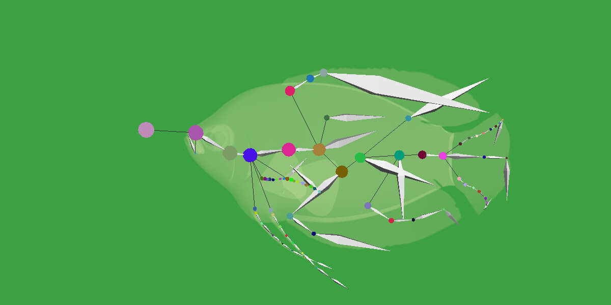 Gourami Freshwater Fish - 3D Model by Nyilonelycompany