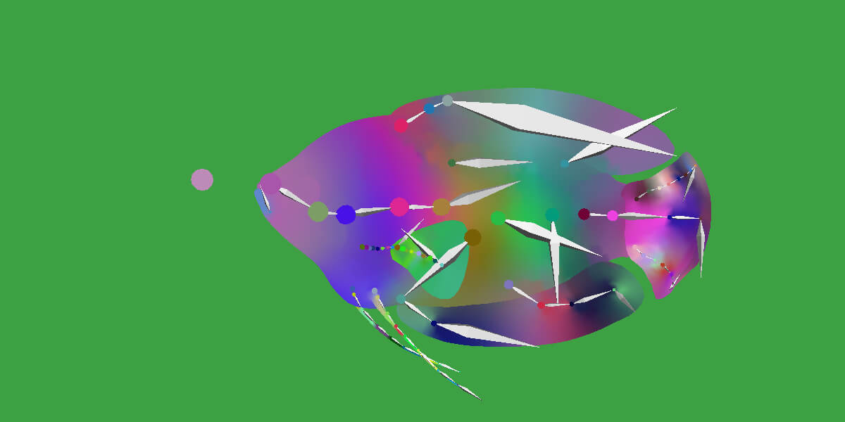 Gourami Freshwater Fish - 3D Model by Nyilonelycompany