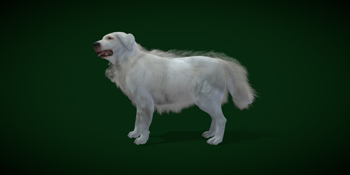 Great Pyrenees Patou Dog - 3D Model by Nyilonelycompany