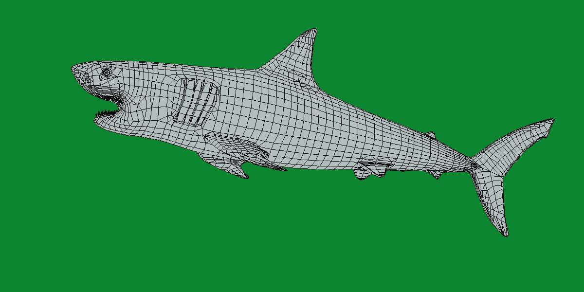 Great White Shark - 3D Model by Nyilonelycompany
