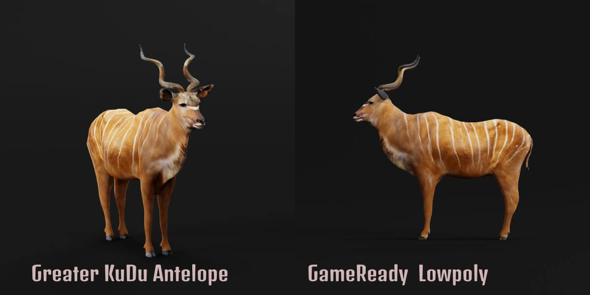 Greater Kudu Antelope Animal - 3D Model by Nyilonelycompany