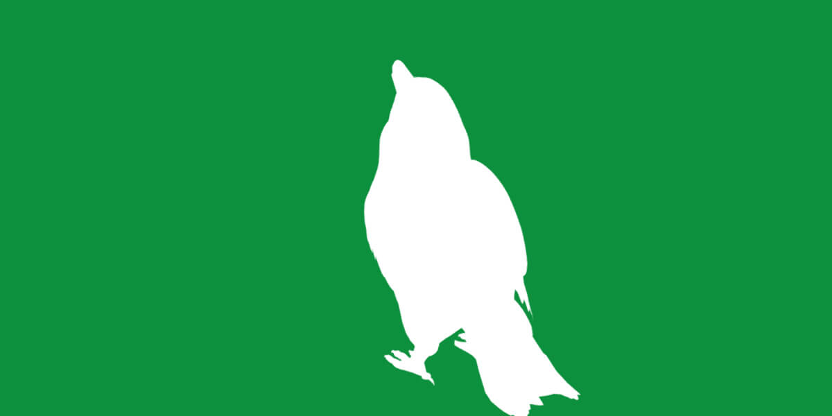 Guam Micronesian Kingfisher Bird - 3D Model by Nyilonelycompany