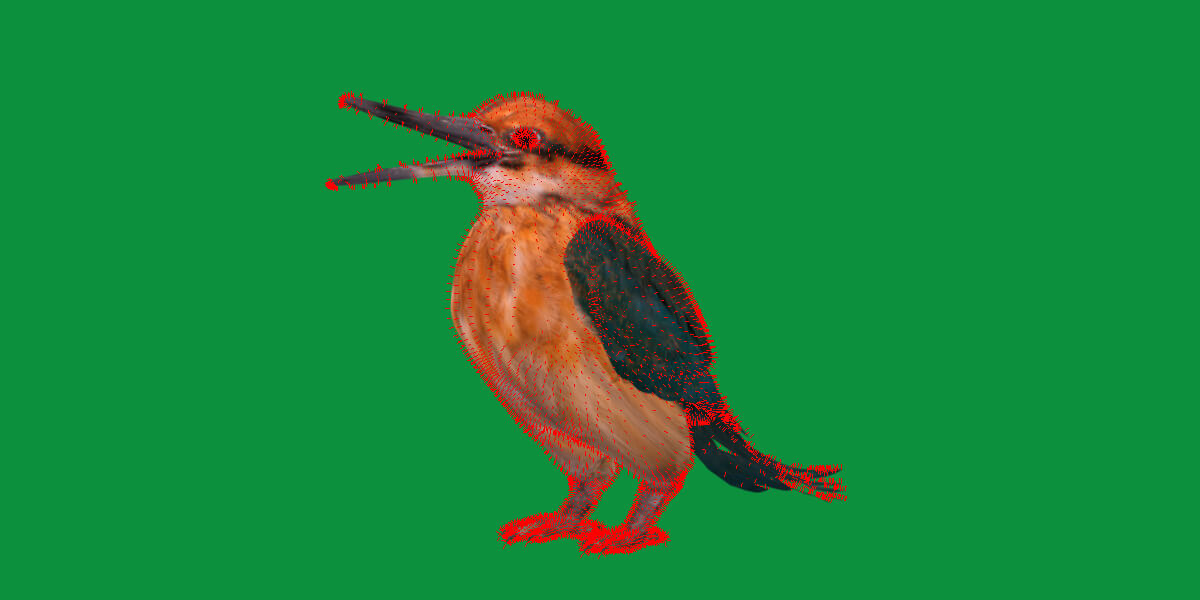 Guam Micronesian Kingfisher Bird - 3D Model by Nyilonelycompany