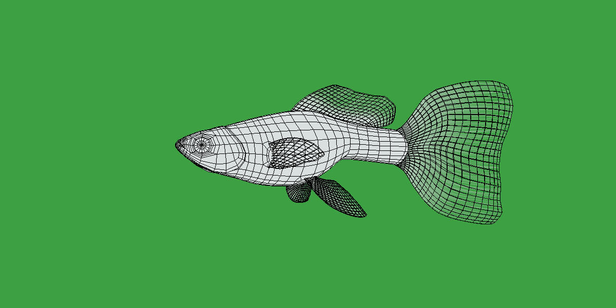 Guppy Rainbow Fish - 3D Model by Nyilonelycompany