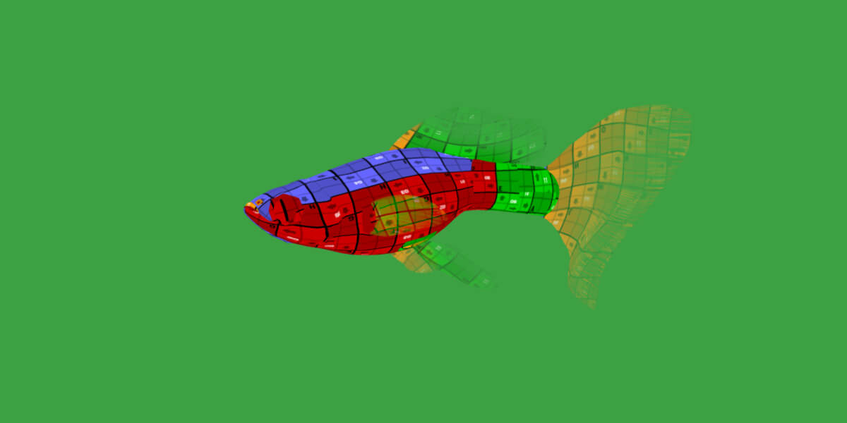 Guppy Rainbow Fish - 3D Model by Nyilonelycompany