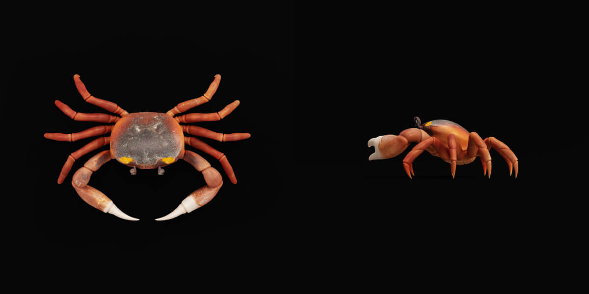 Halloween Moon Crab - 3D Model by Nyilonelycompany