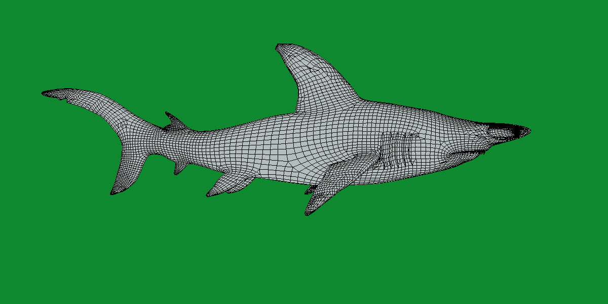 Hammerhead Shark - 3D Model by Nyilonelycompany