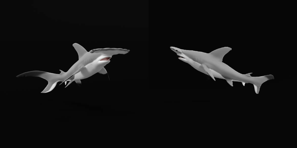 Hammerhead Shark - 3D Model by Nyilonelycompany