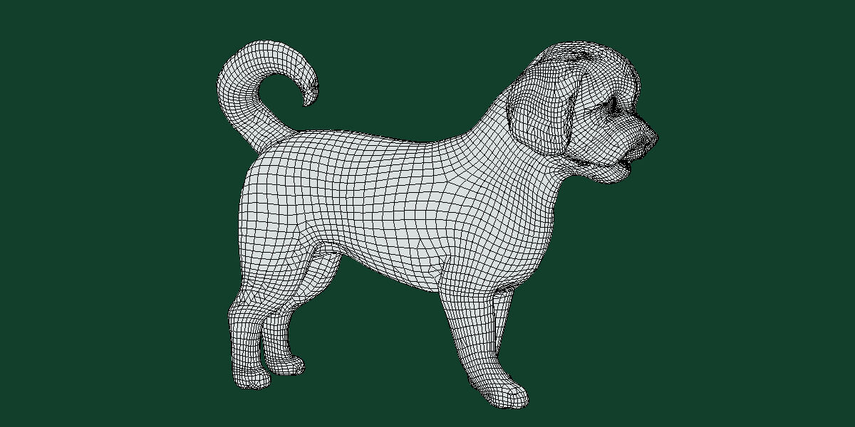 Havanese Dog Breed Marvin - 3D Model by Nyilonelycompany