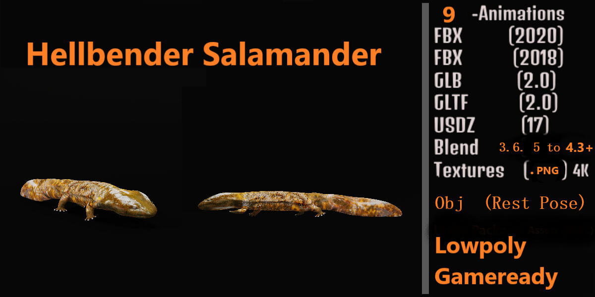Hellbender Salamander - 3D Model by Nyilonelycompany