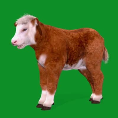 Glb 3D Models | Animals | Cattle | RenderHub