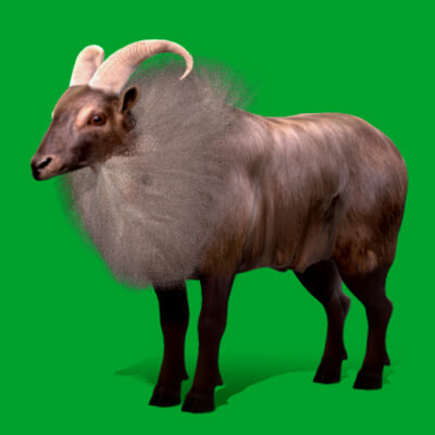 Animated 3D Models | Animals | Goats | RenderHub