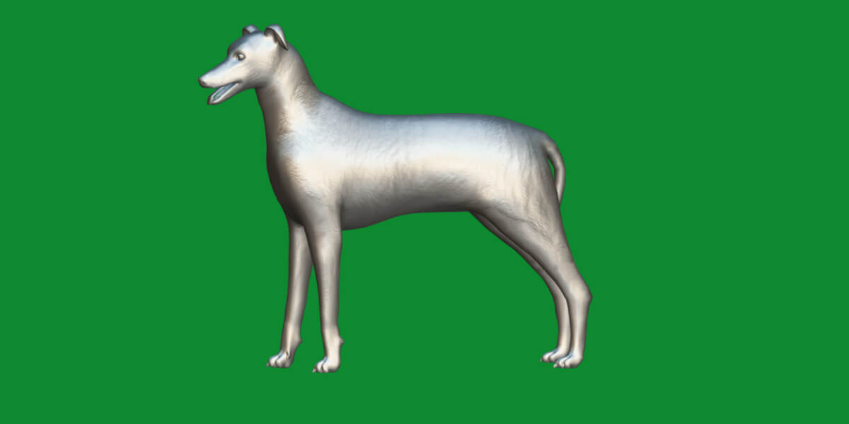 Hungarian Greyhound Magyar Agar Dog - 3D Model by Nyilonelycompany