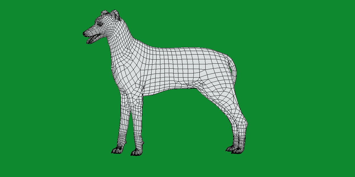 Hungarian Greyhound Magyar Agar Dog - 3D Model by Nyilonelycompany