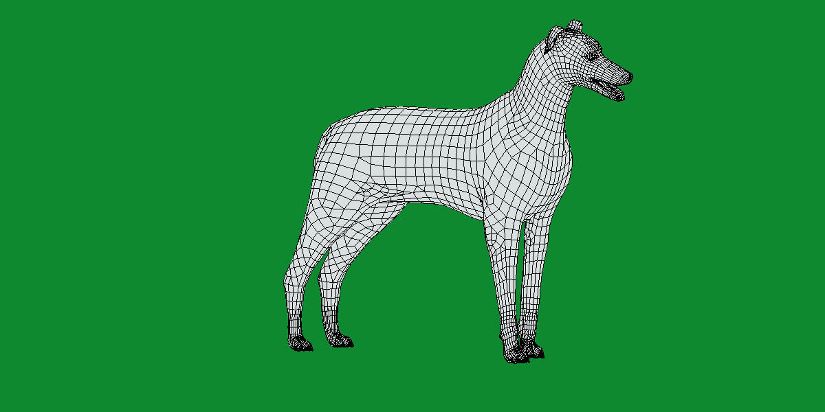Hungarian Greyhound Magyar Agar Dog - 3D Model by Nyilonelycompany